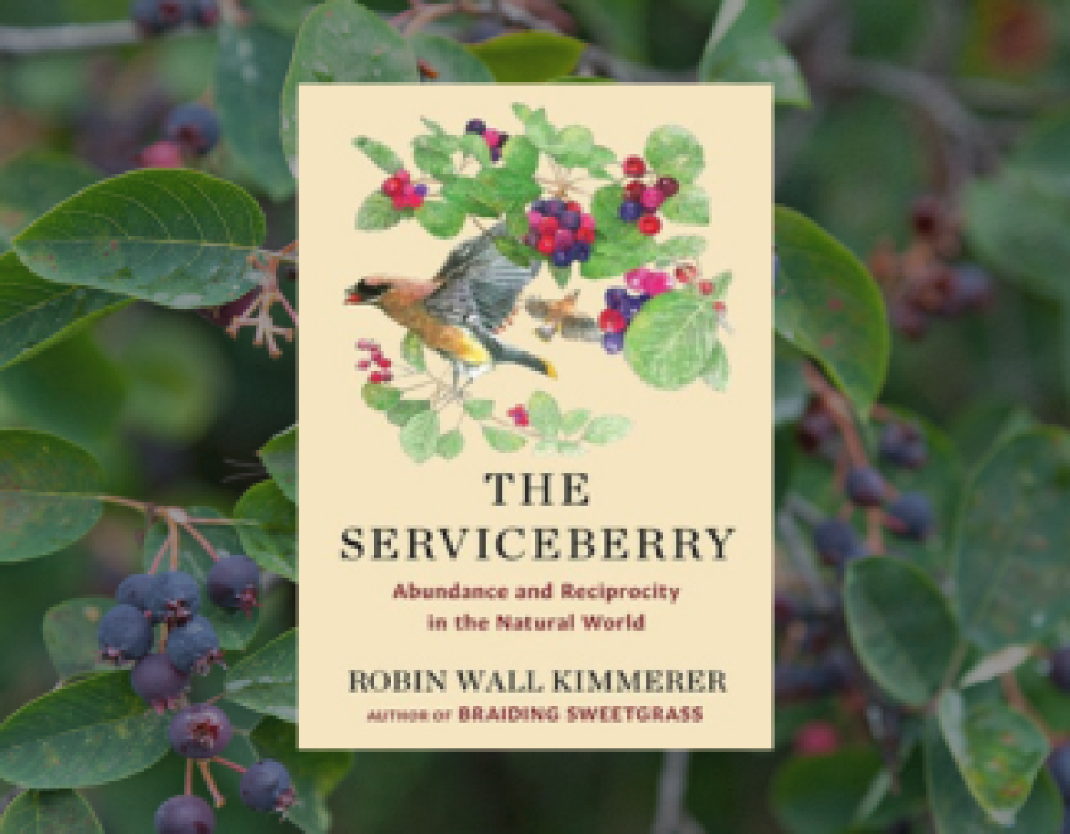 Local Enhancement & Appreciation of Forests | LEAF | Local Enhancement ...