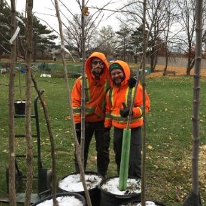 Trailblazing the Way for Equitable Tree Planting | LEAF | Local ...