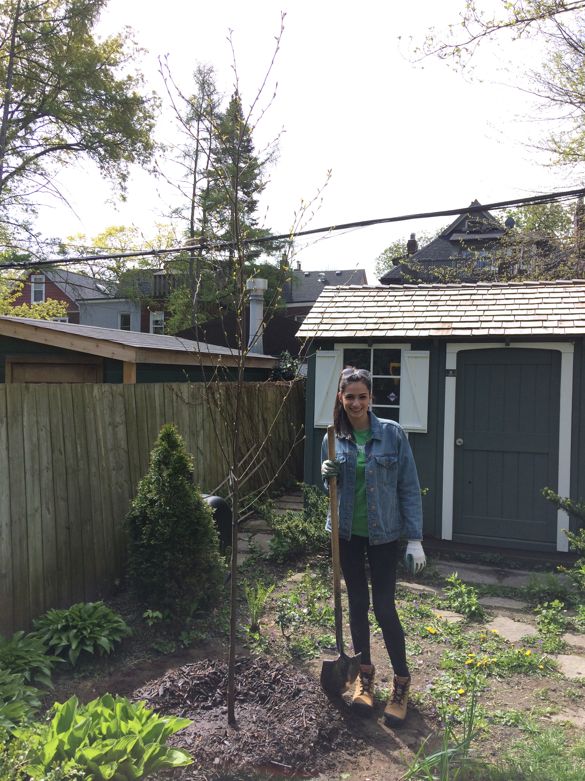 Emily Peden – Urban Forest Champion | LEAF | Local Enhancement ...