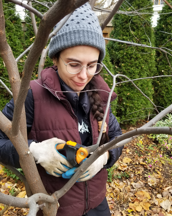 The Low Down on LEAF Follow-Up Visits | LEAF | Local Enhancement ...