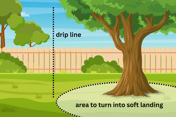 Enhancing Biodiversity With Soft Landings | LEAF | Local Enhancement ...
