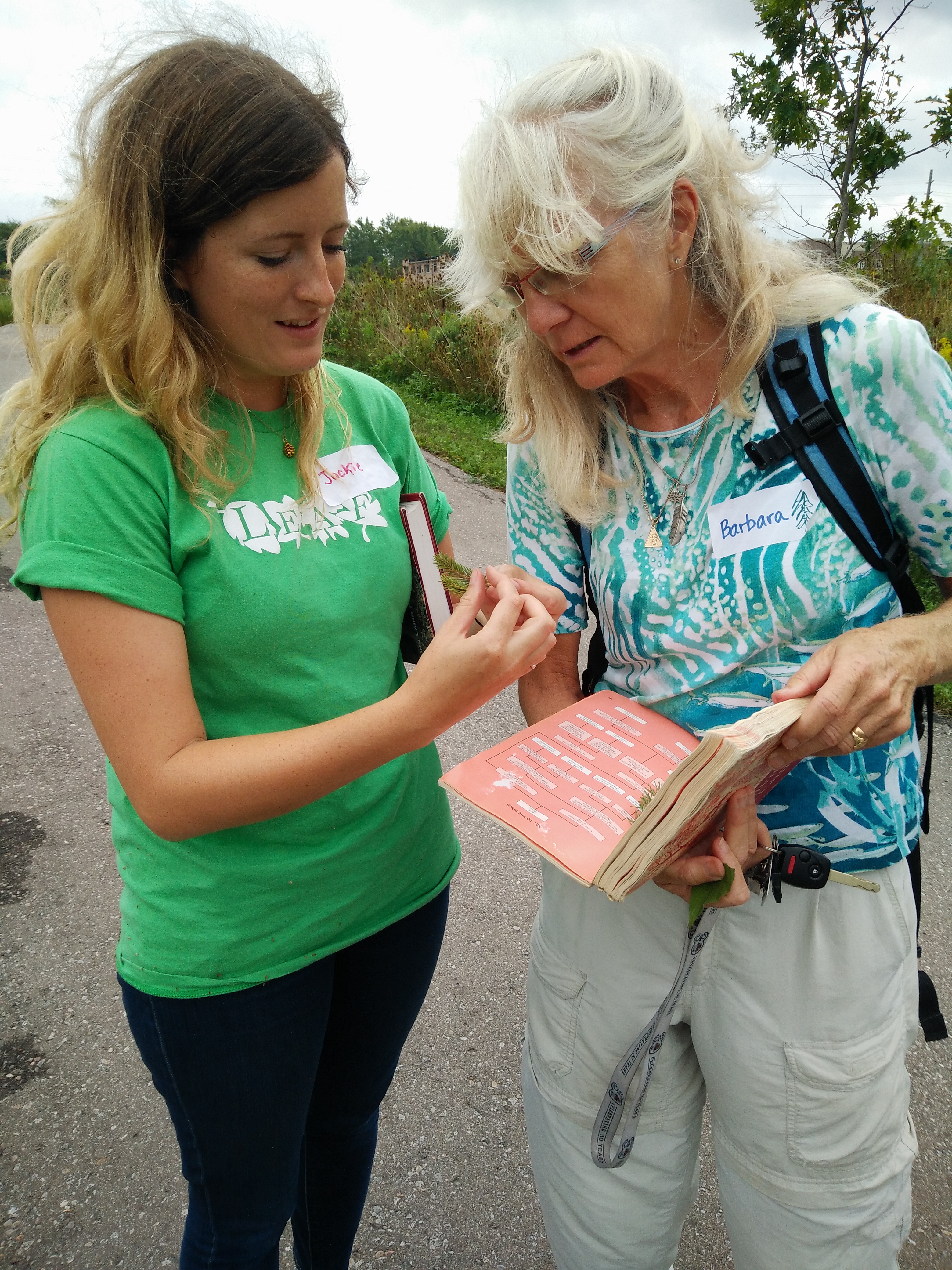 Barbara Anderson, an Urban Forest Champion! | LEAF | Local Enhancement ...